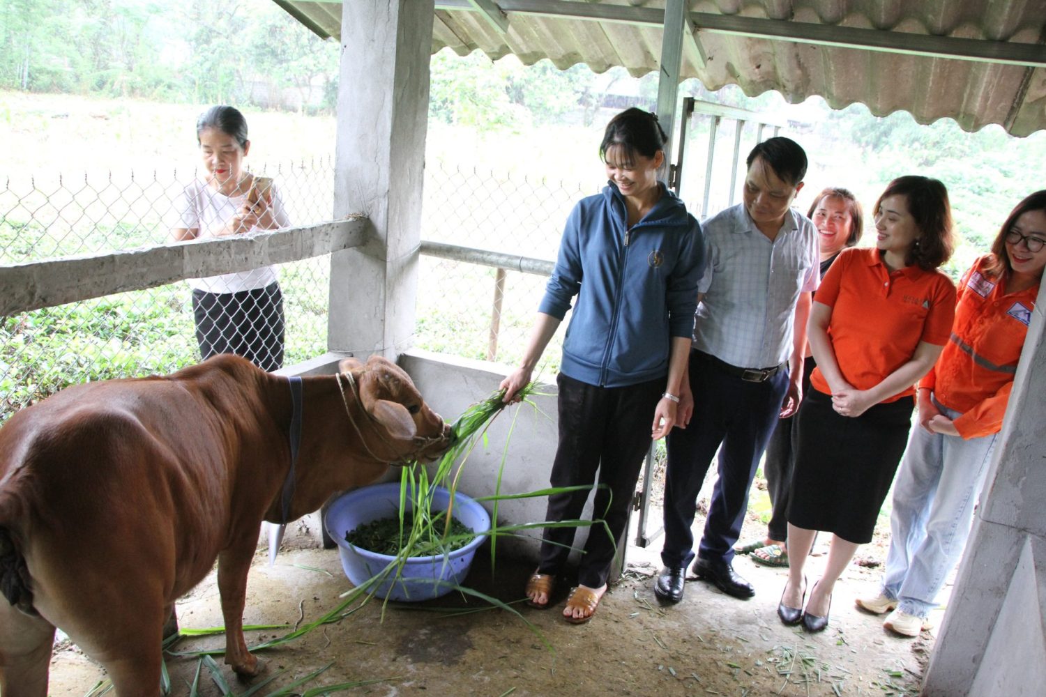 Nui Phao Mining Supports Livestock Breeding to Create Sustainable ...